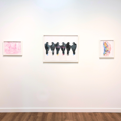 Boise Exhibitions - Idaho Art Gallery